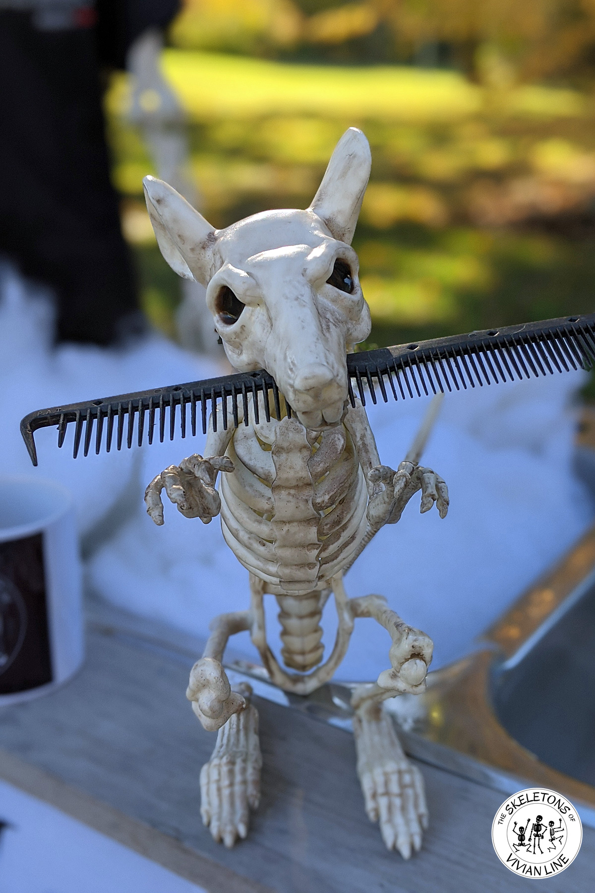 Day 5, 2020 - Handsome Skull Barbershop - Skeletons of Vivian Line