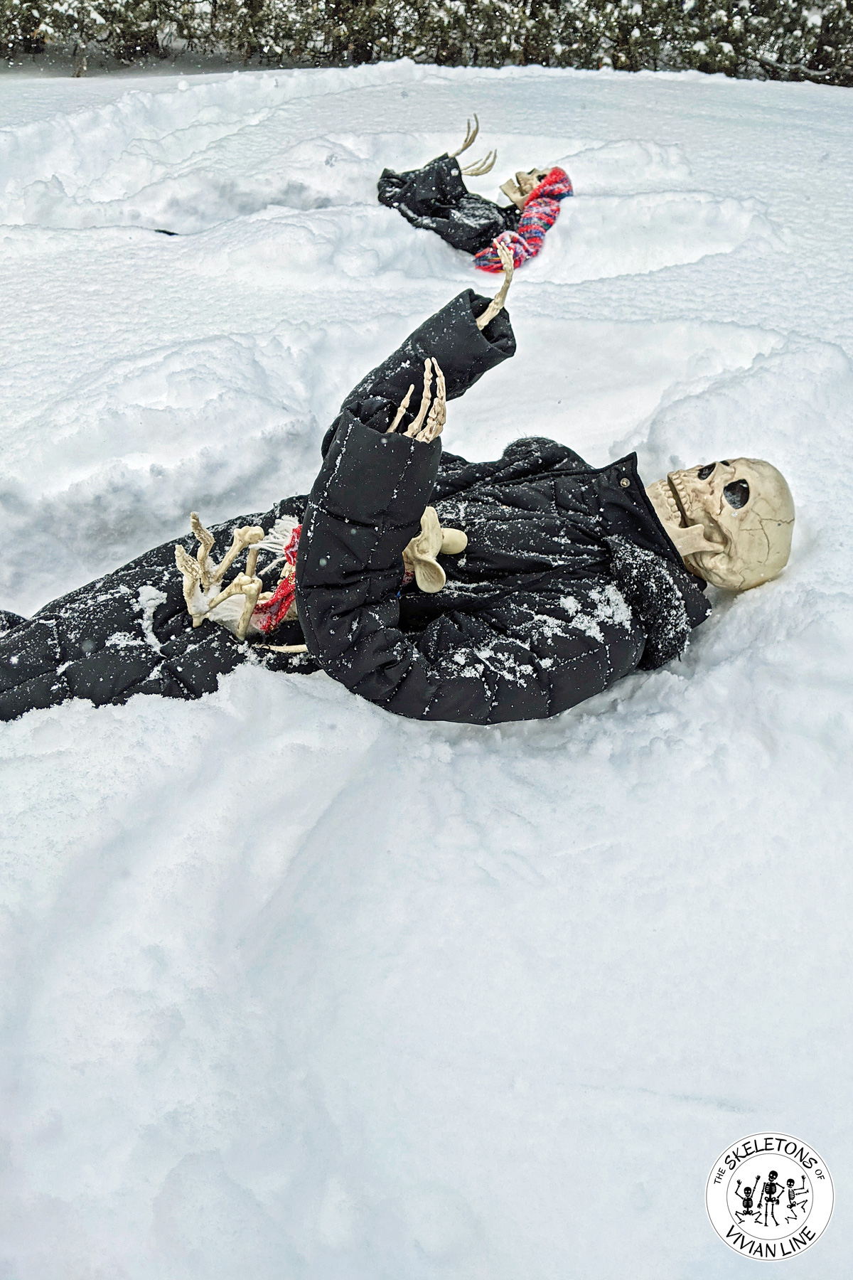 Day 1 - Let it Snow! - Skeletons of Vivian Line
