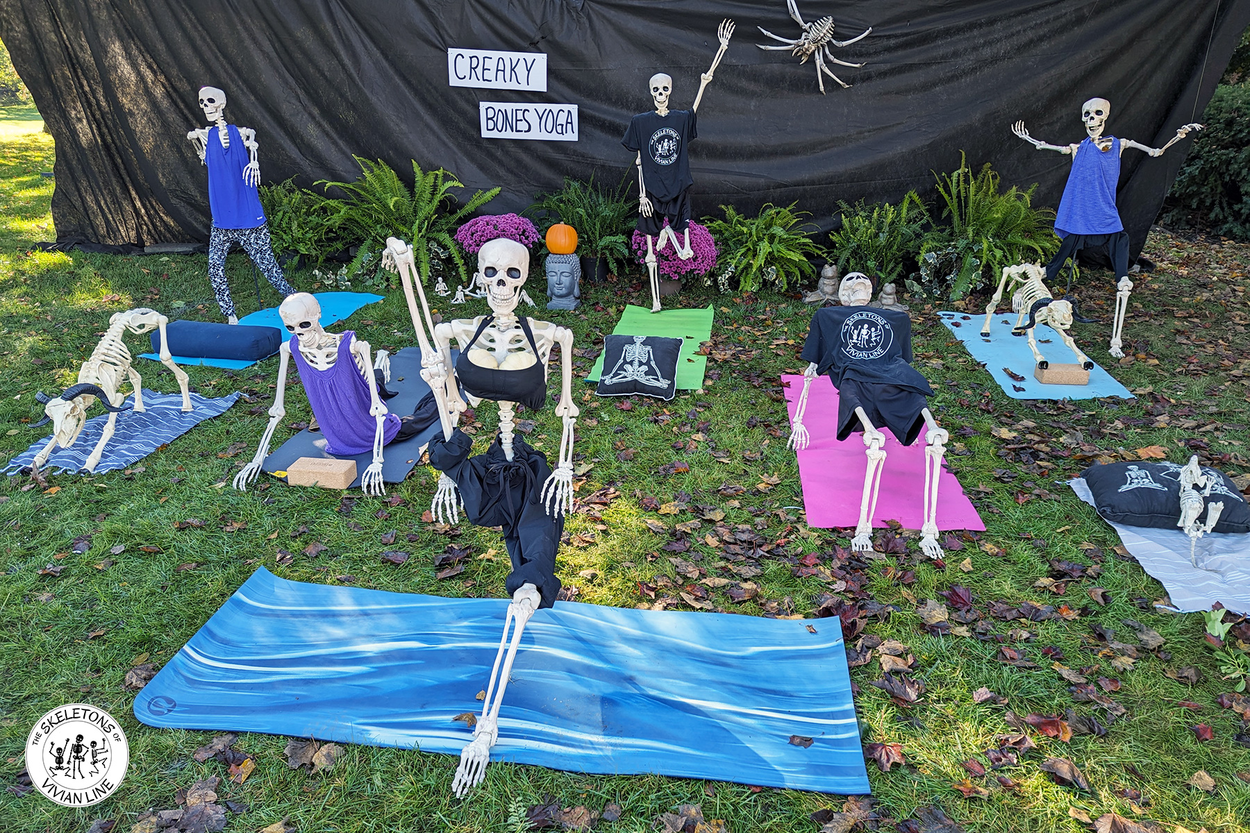 Day 5 - Creaky Bones Yoga Studio - Skeletons of Vivian Line