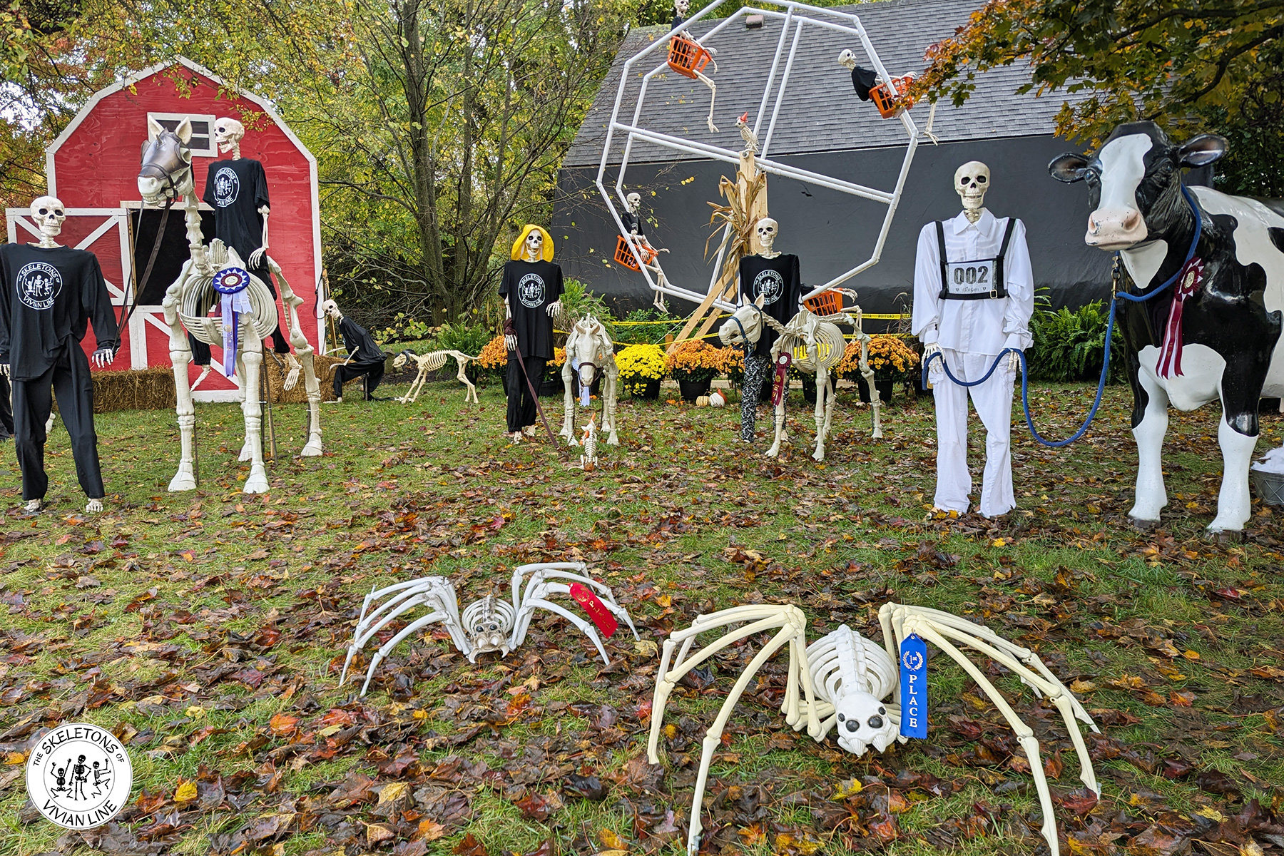 Day 5 - Fall Fair Fun! - Skeletons of Vivian Line